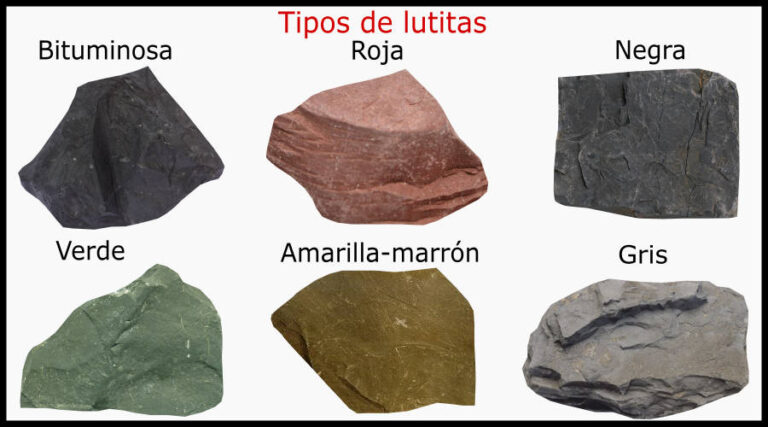 Lutita [ Tipos de lutitas ] características y usos